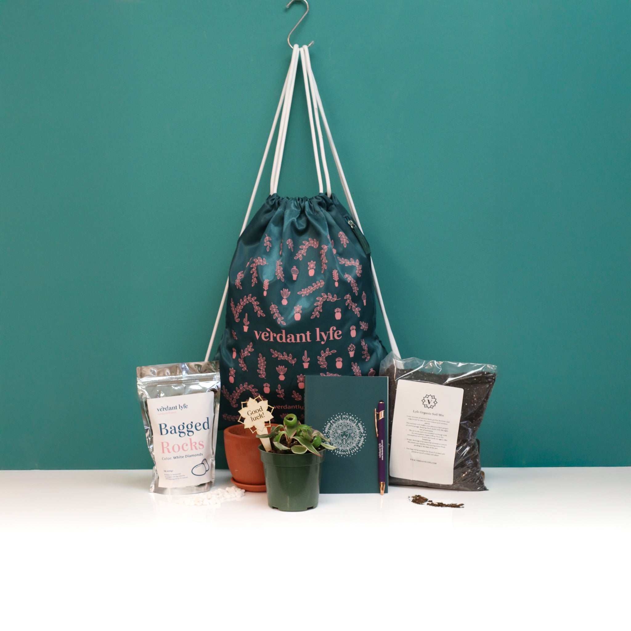 Earth Essentials Bundle | The American Gringo