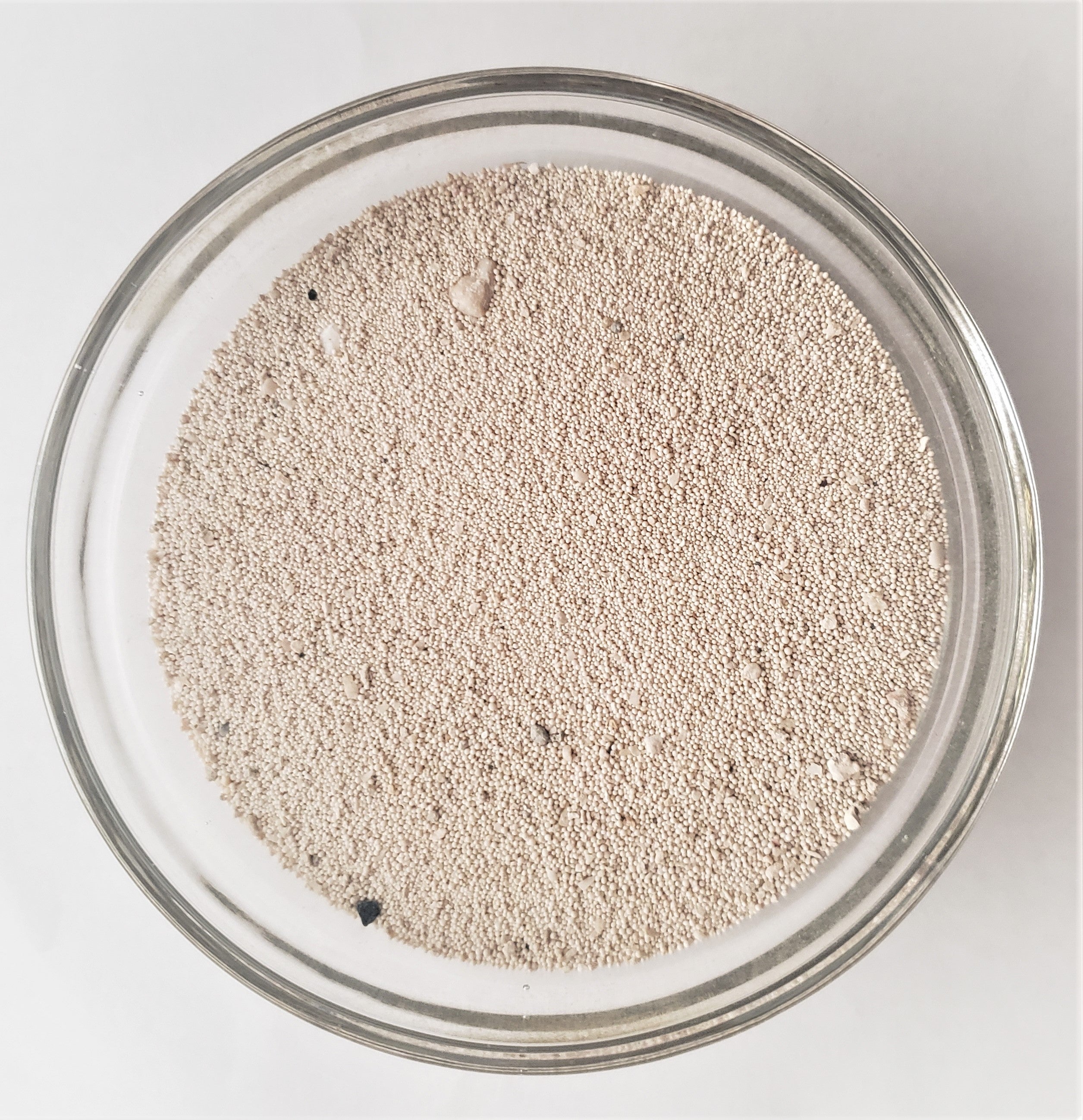 Aragonite/Oyster Shell Flour | The American Gringo