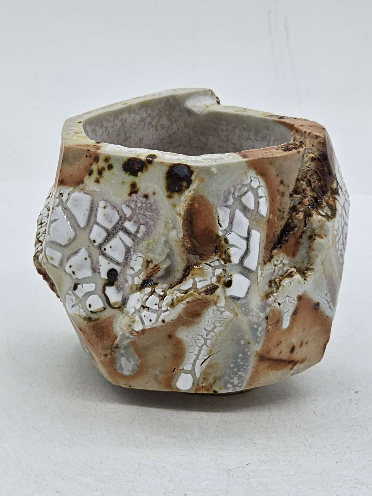 Toma Studio | The American Gringo