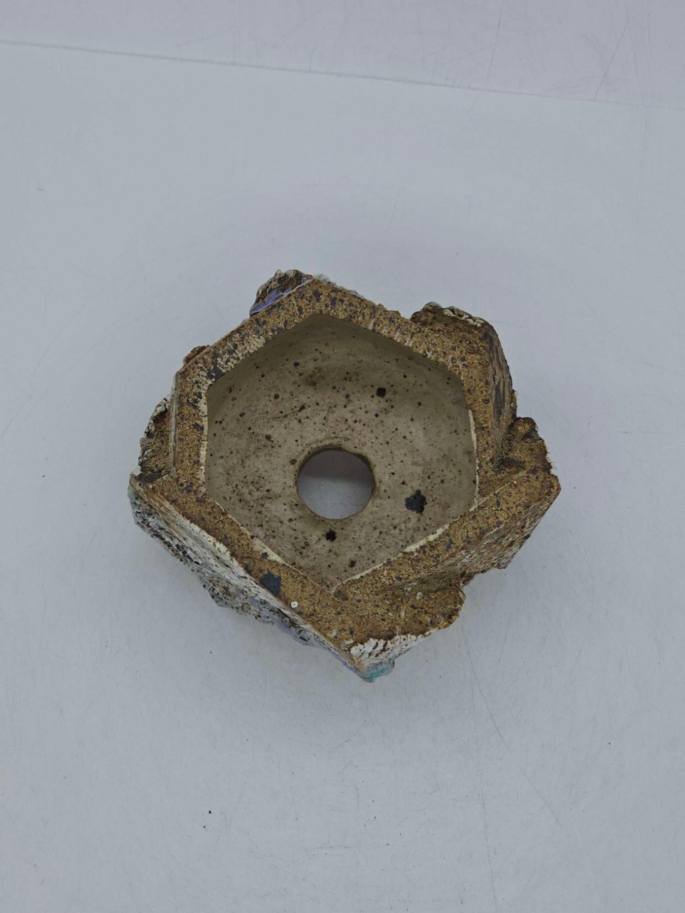 Toma Studio | The American Gringo