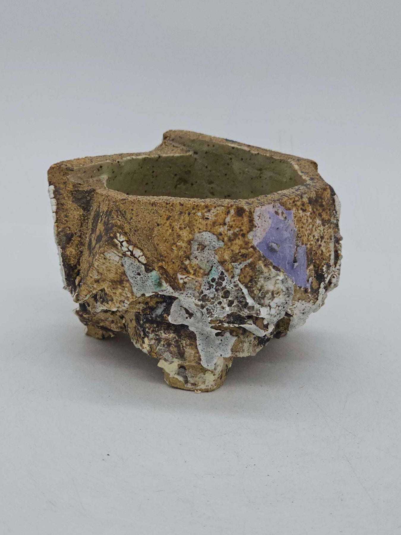 Toma Studio | The American Gringo