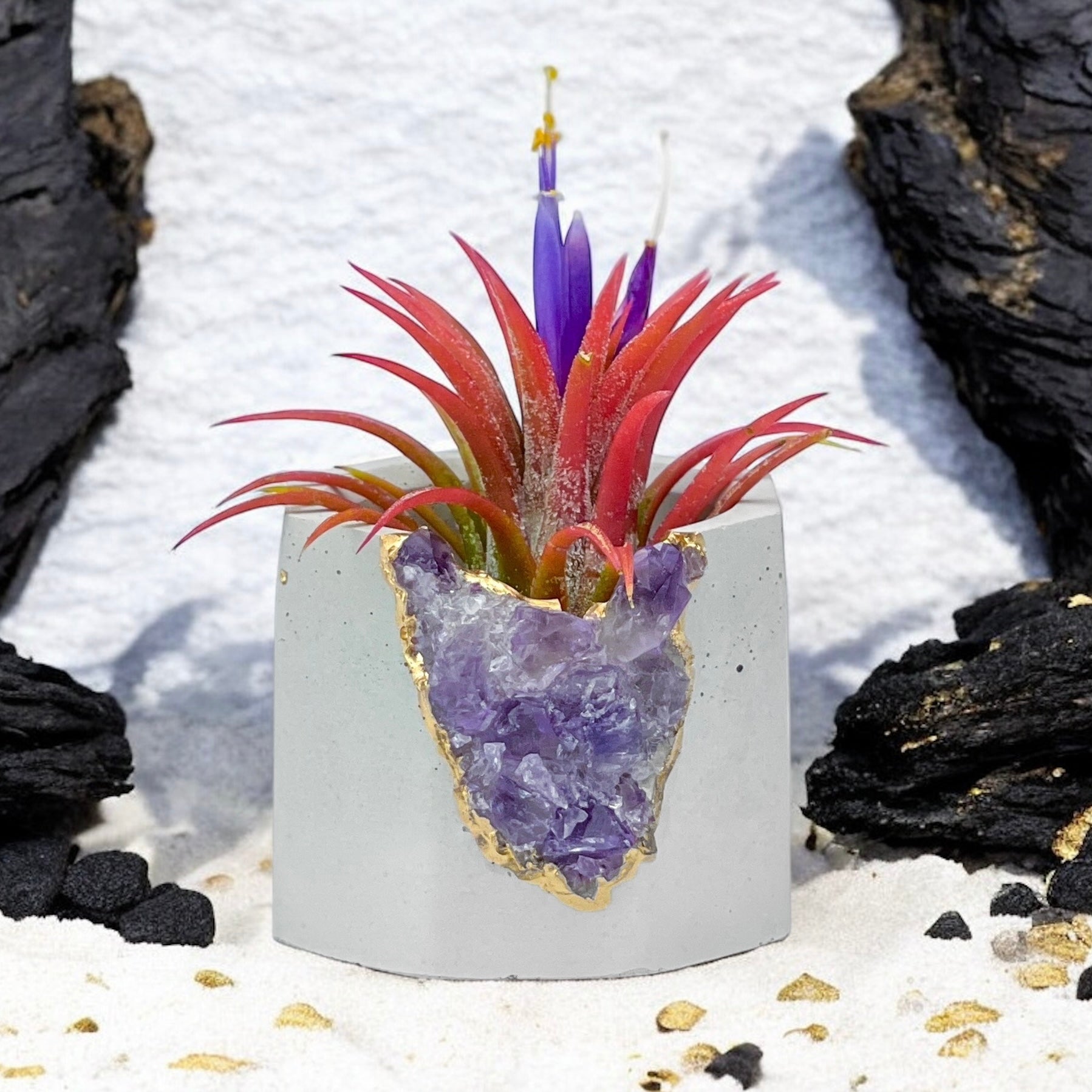 Brazil AMETHYST GEODE PLANTER | The American Gringo
