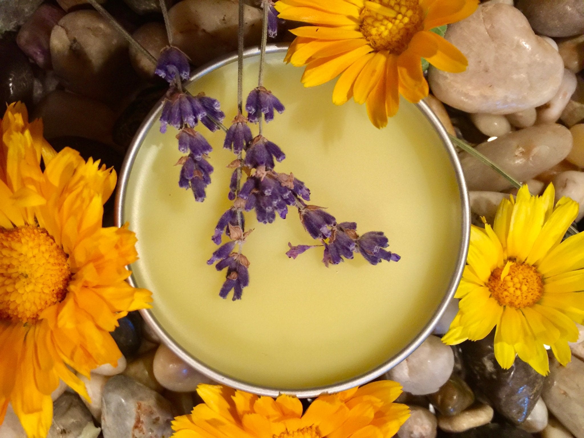 Calendula Lavender Salve - Soothing All Natural Skin | The American Gringo