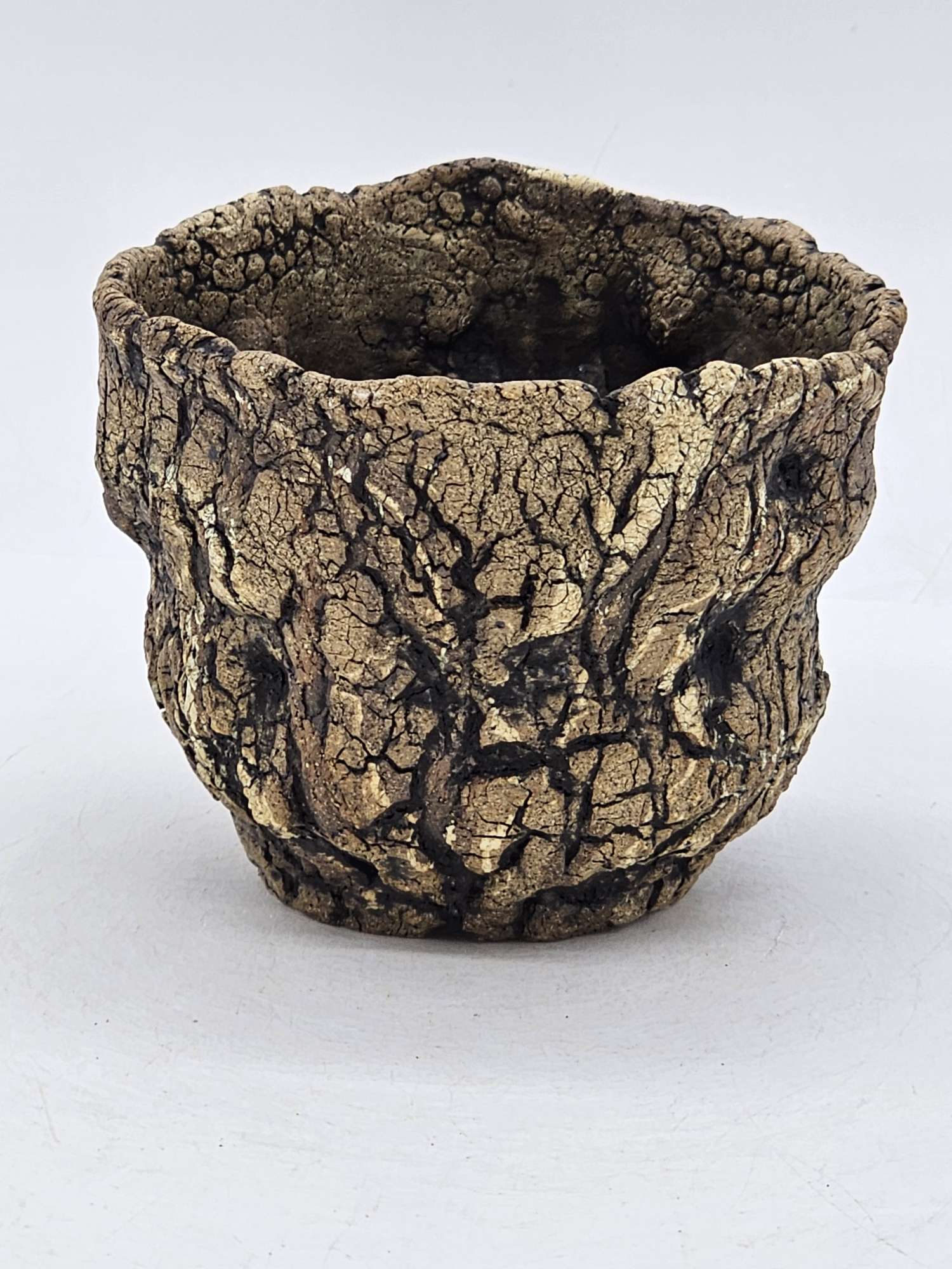 Cooked Earth | The American Gringo