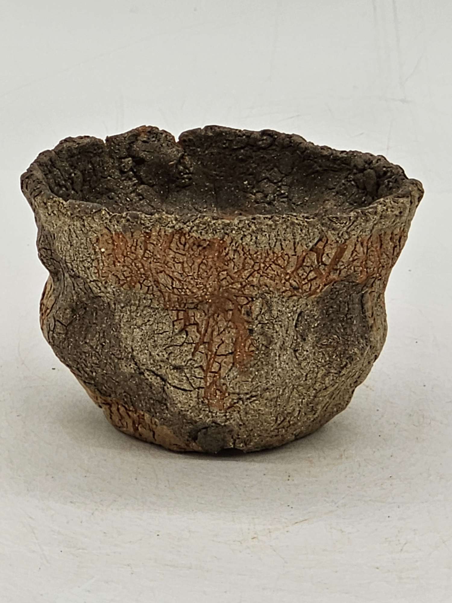 Cooked Earth | The American Gringo