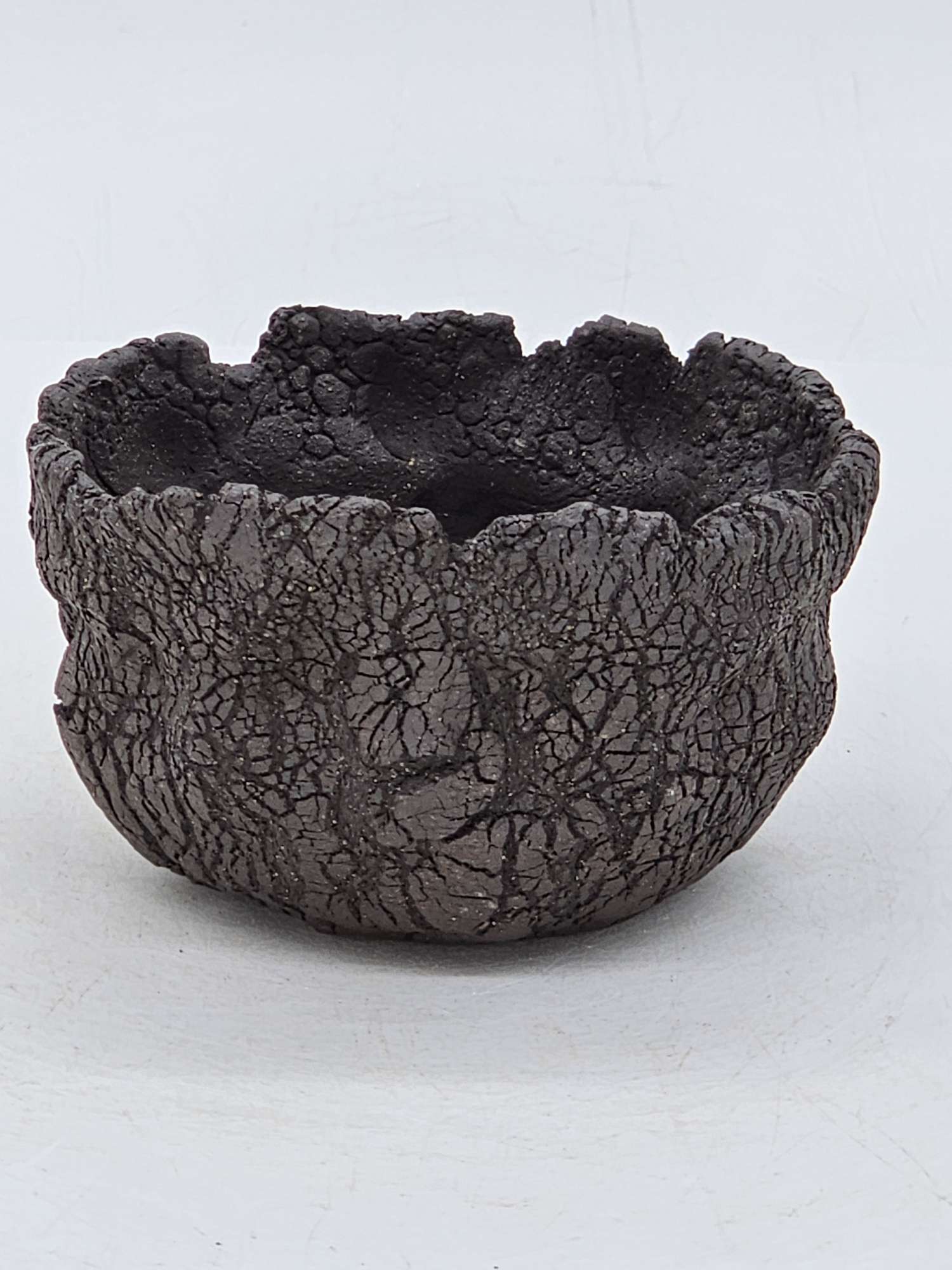 Cooked Earth | The American Gringo