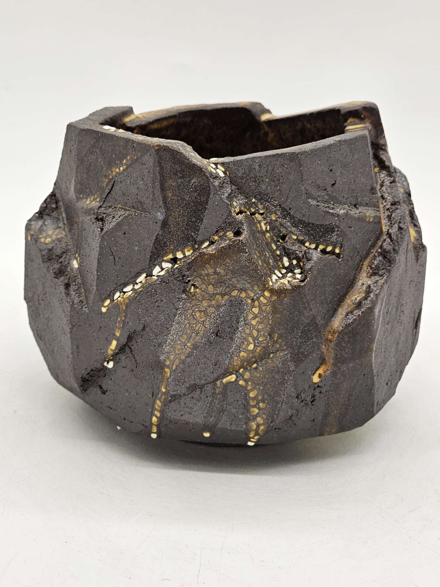 Toma Studio | The American Gringo